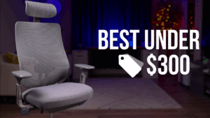 COLAMY Atlas Office Chair Review: The Undisputed Budget Champion ...